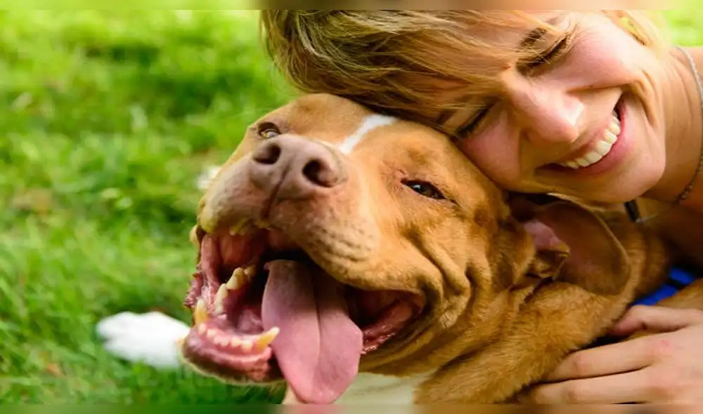 Los beneficios de tener una mascota en la familia | Sociedad | La República