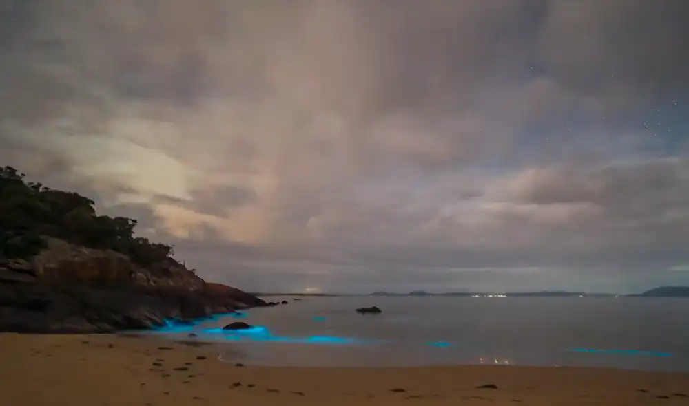 YouTube viral: De rojo a azul fluorescente: graban el increíble cambio ...