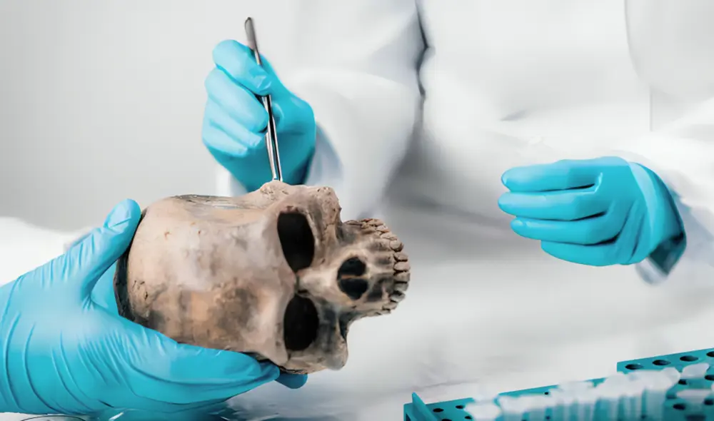 El mentón, la parte del cuerpo humano que la evolución no explica y ...