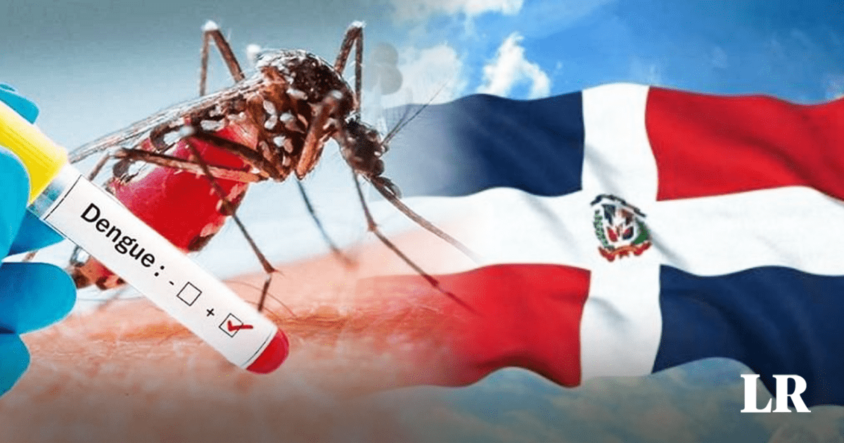 Aumento De Casos De Dengue En República Dominicana ¿cuáles Son Las