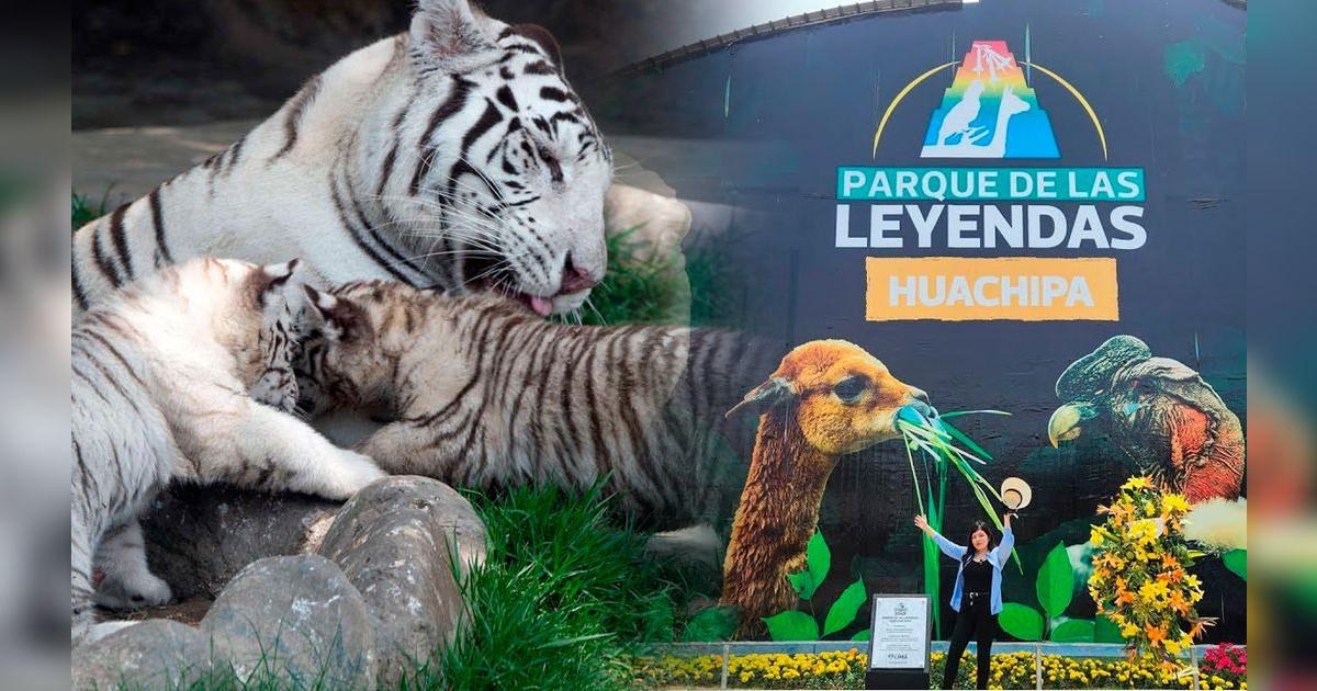 Parque de las Leyendas de Huachipa: COMPRA AQUÍ entradas por INTERNET para el único zoológico de ...