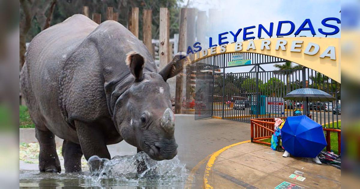 Parque de Las Leyendas lanza oferta de entradas a mitad de precio: requisitos y fecha límite de ...