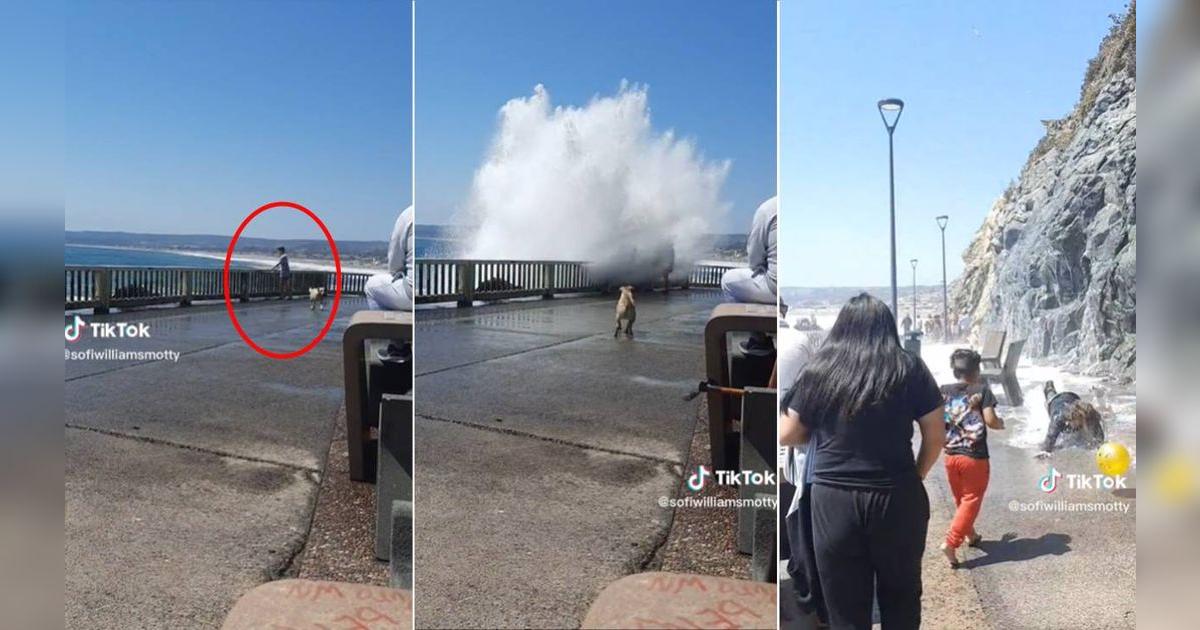 TikTok viral: Joven se relaja frente al mar, pero fuerte ola aparece y ...