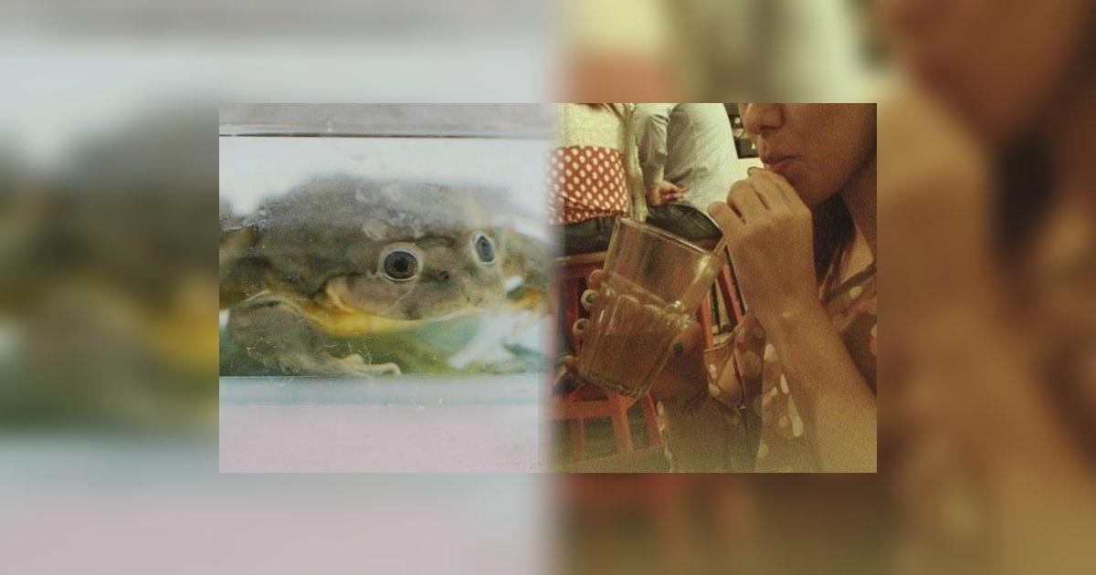 Extracto de rana: La verdad tras el "beneficio" que brinda a la salud ...