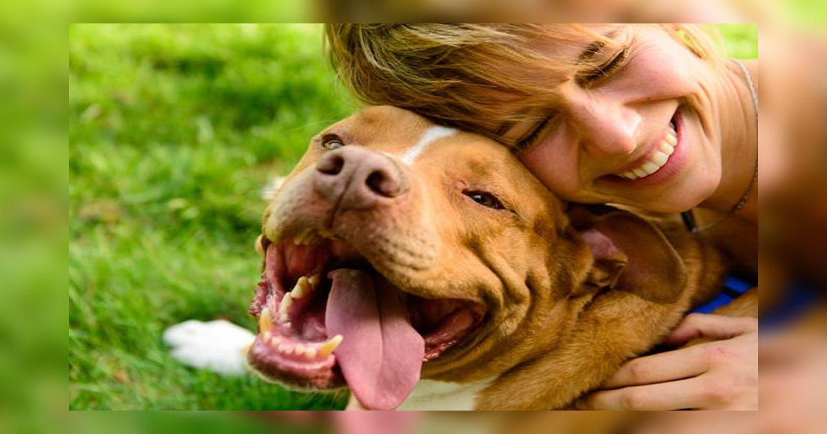 Los beneficios de tener una mascota en la familia | Sociedad | La República