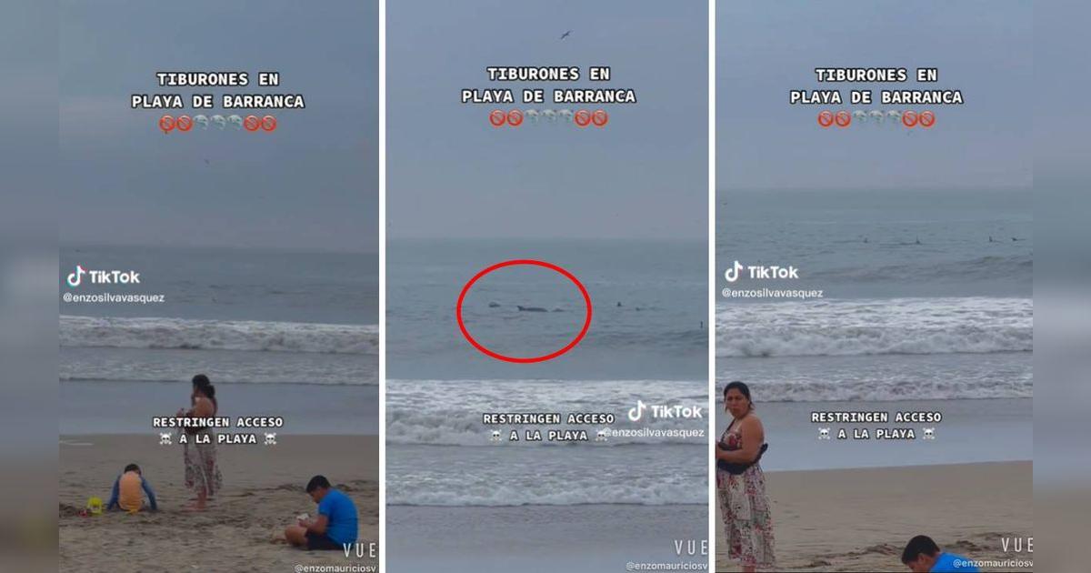 TikTok viral: Captan supuestos tiburones en una playa de Barranca y usuarios quedan en shock ...