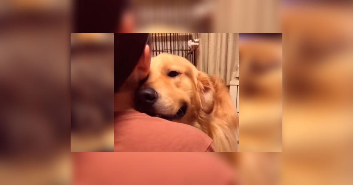 YouTube viral: perro vuelve con su dueña tras semanas de cuarentena y ...
