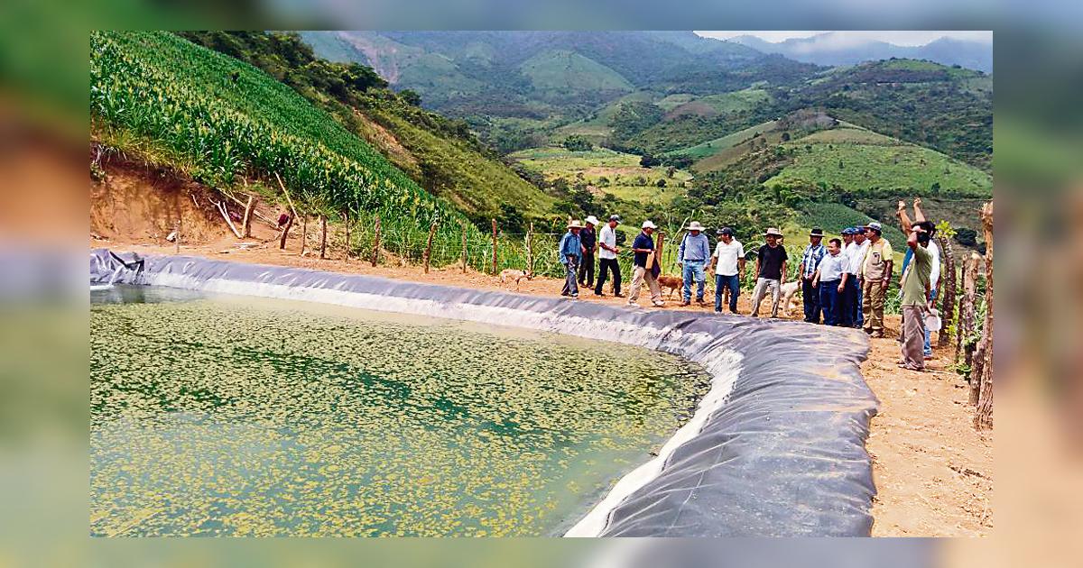 Las cochas: una práctica incaica para almacenar agua en la sierra ...