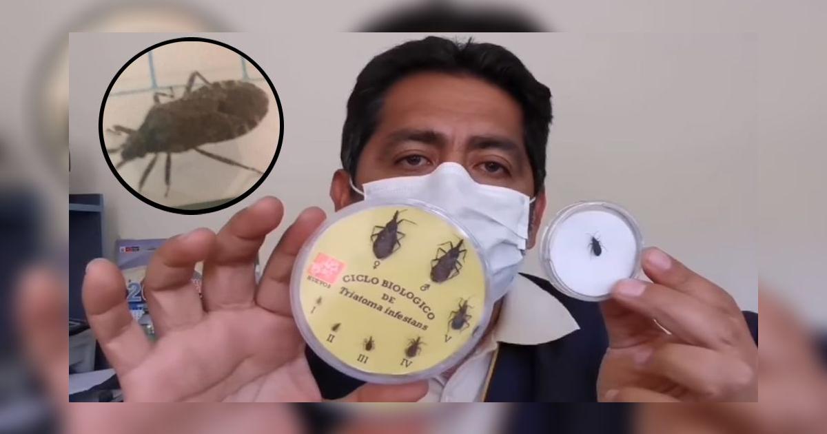 Gerencia de Salud se pronuncia ante temor de proliferación de ...