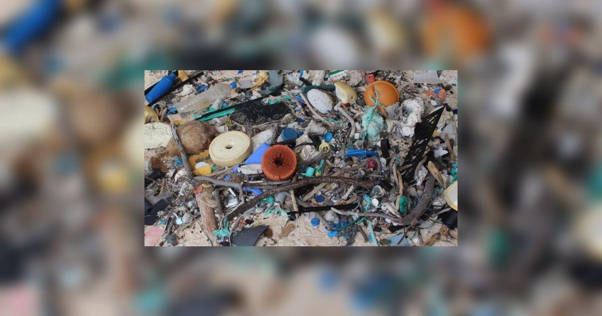 La playa más contaminada del mundo está en una isla deshabitada del ...