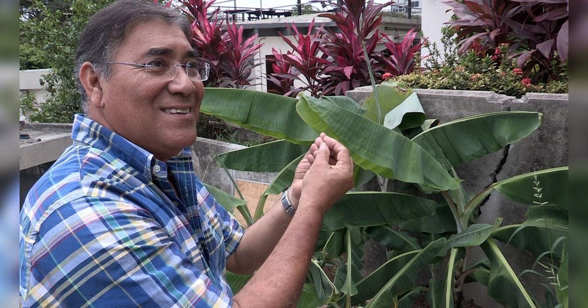 Ecuador: Científico nominado a Nobel por agroecología | Mundo | La ...