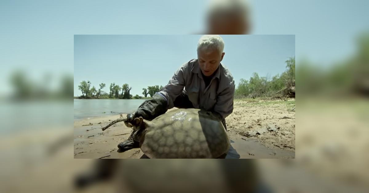 YouTube viral: pescador lanza su anzuelo y espécimen de mantarraya ...