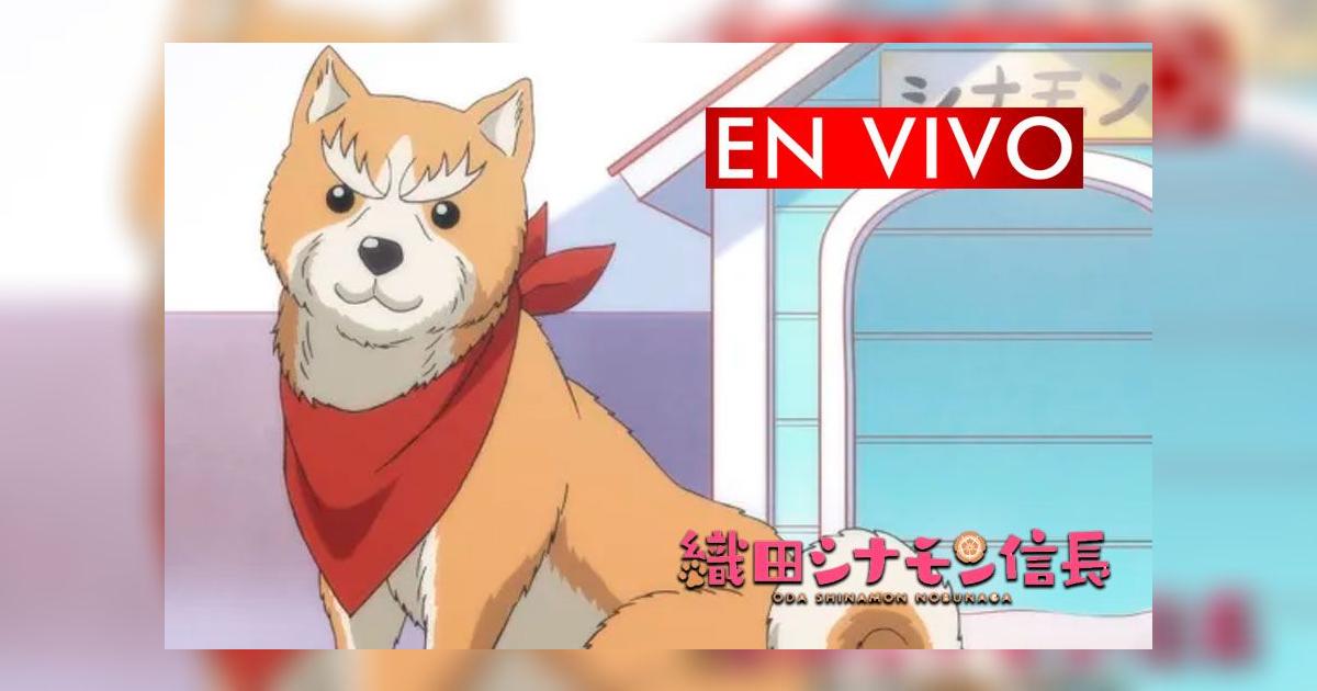 Oda Cinnamon Nobunaga capítulo 06 EN VIVO online sub español: dónde ...