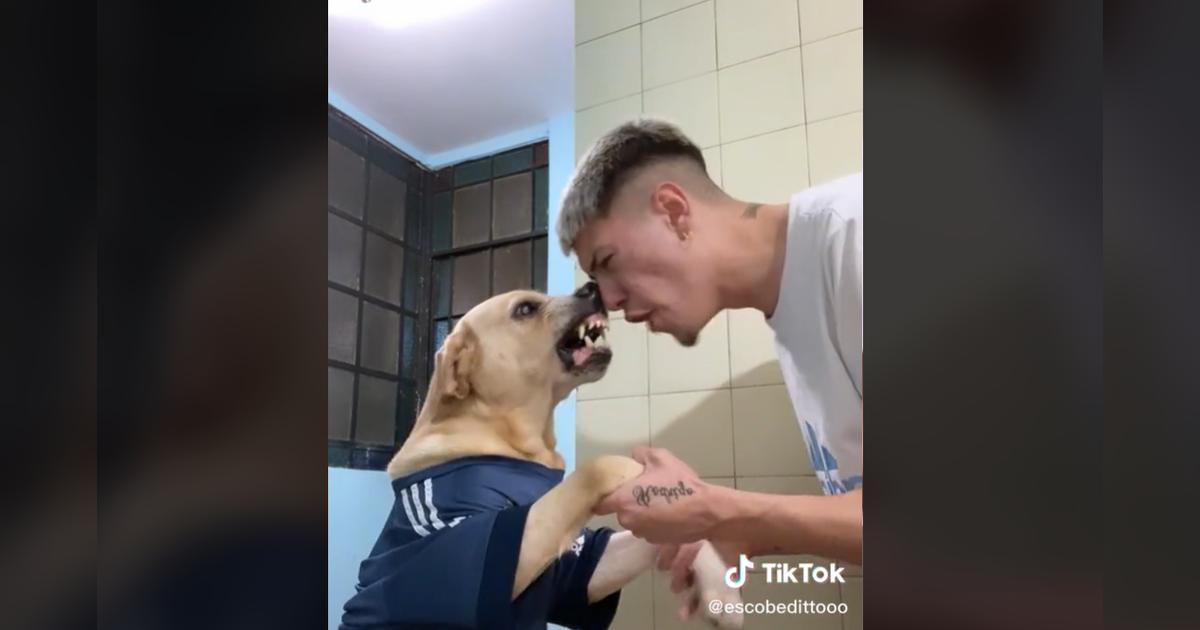 Joven argentino compartió por TikTok como su perro y él celebran ...