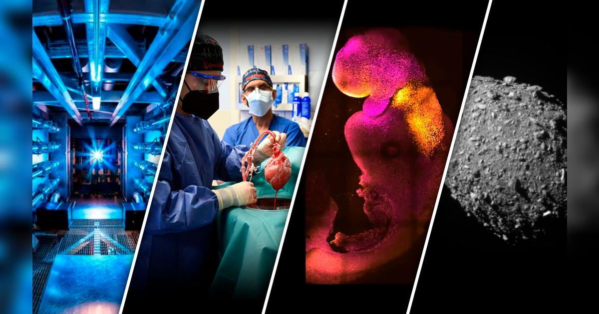 El futuro es hoy: los avances científicos que hicieron historia este ...