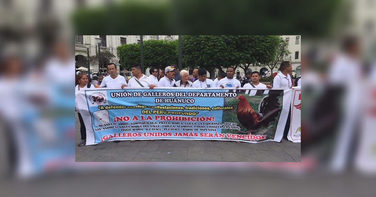 Asociaciones marchan a favor de las peleas de gallos |Maltrato Animal ...