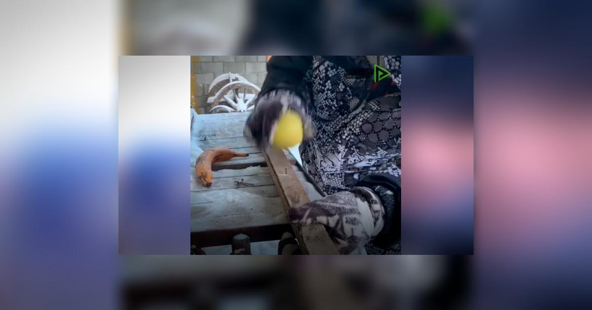 Facebook viral: joven ruso usa como martillo una fruta congelada a -53 ...