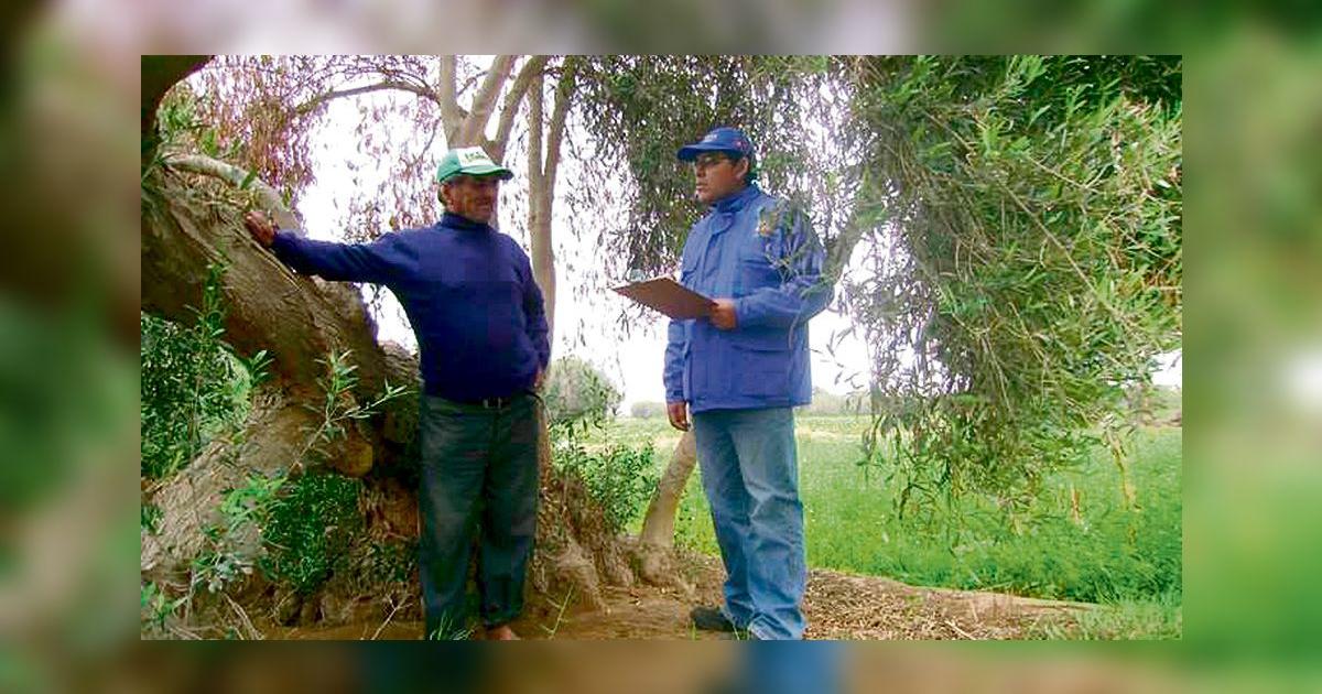 Julver Vilca es el nuevo director del PEBLT en Puno | Sociedad | La ...