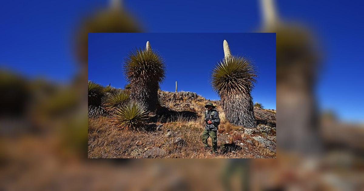 La Libertad: Conoce las nuevas rutas de la Reserva y Santuario Nacional ...