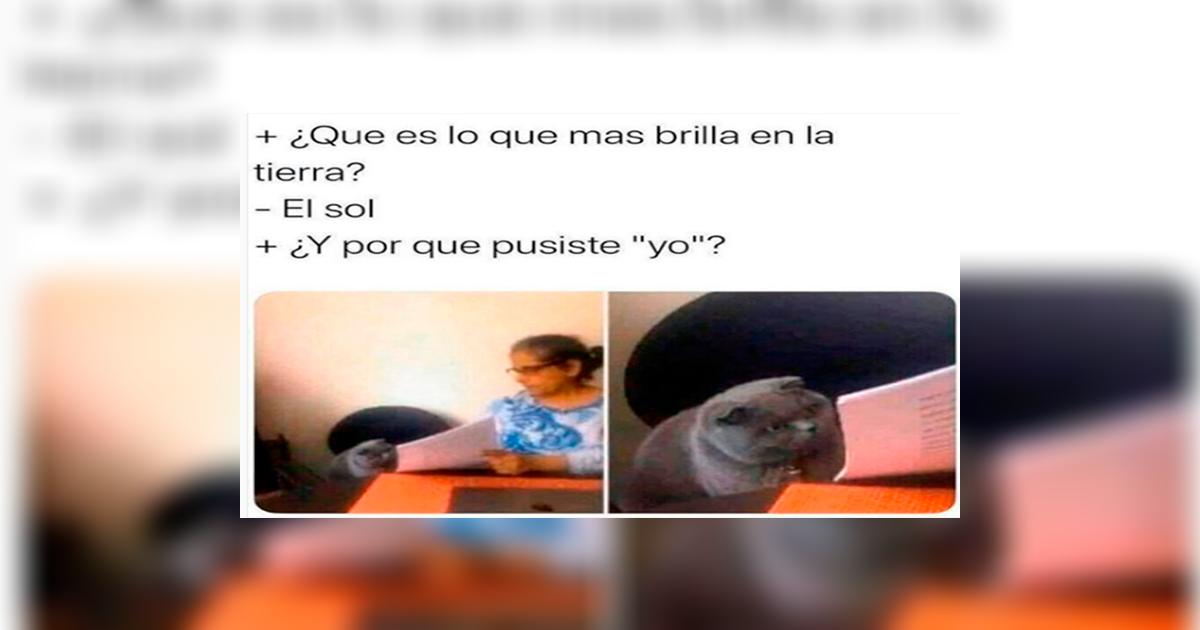 Meme del gato regañado por una señora: origen e historia de la imagen ...