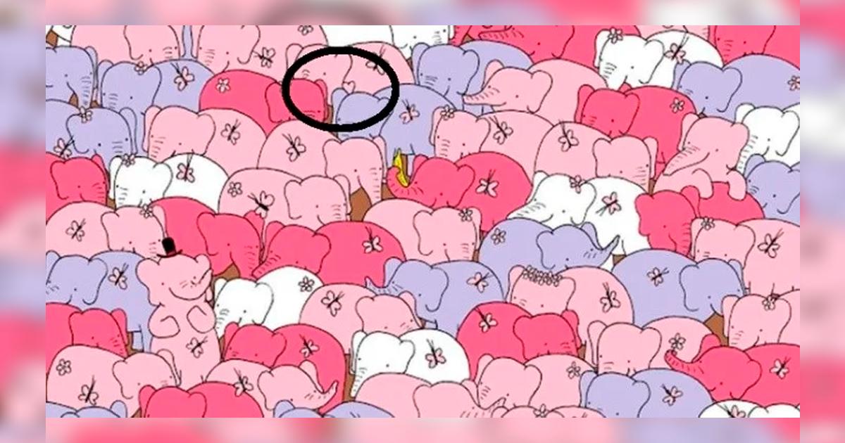 Facebook viral: ¿Ves el corazón oculto entre estos elefantes? El ...