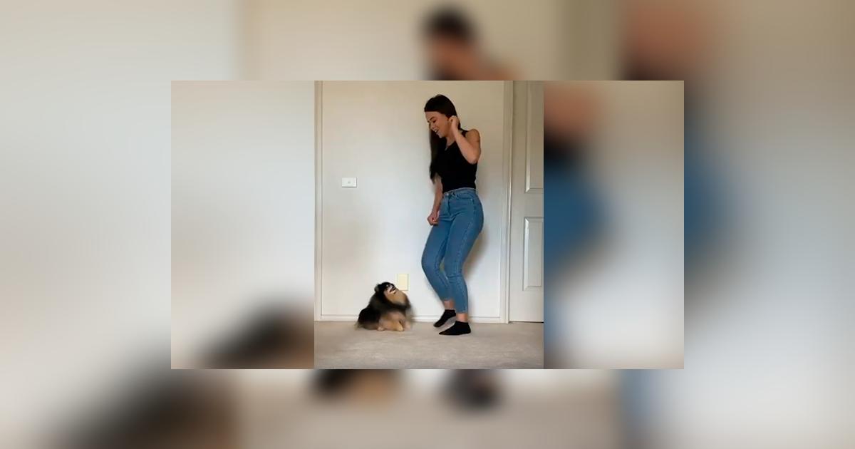 Facebook viral: joven cumple reto de baile junto a su perro y ...