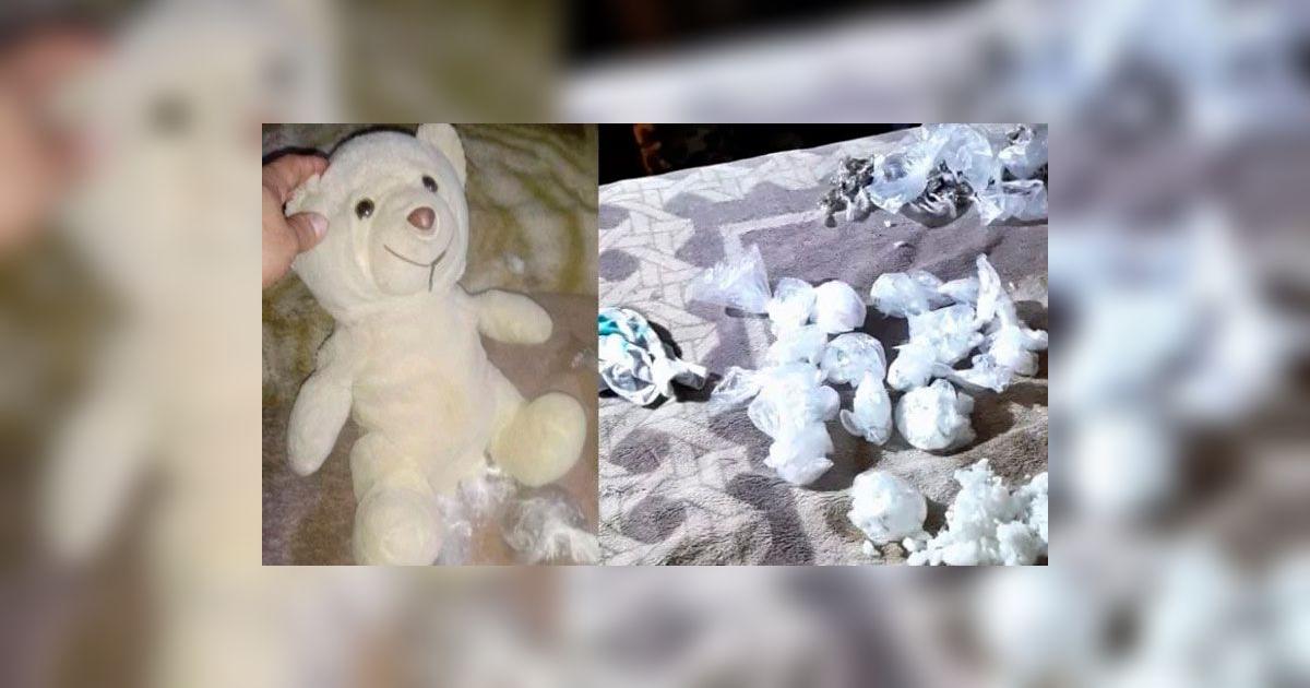 Argentina: Policías detienen a motociclistas por transportar un oso con ...