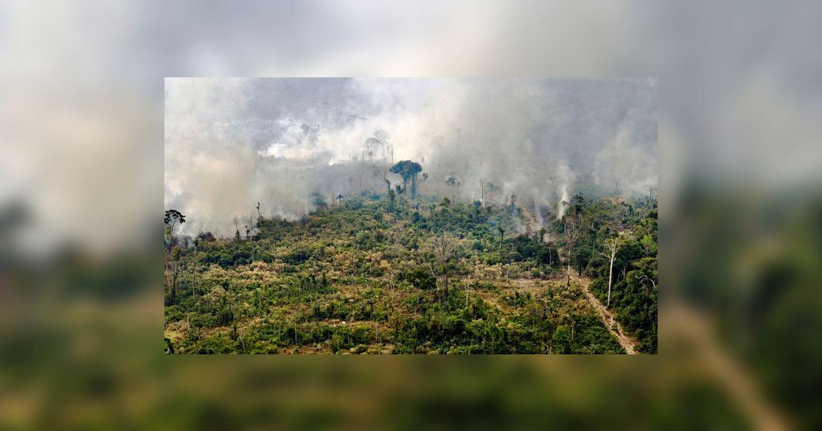 ÚLTIMAS NOTICIAS Incendio Amazonia HOY 26 de agosto 2019 EN VIVO: la ...