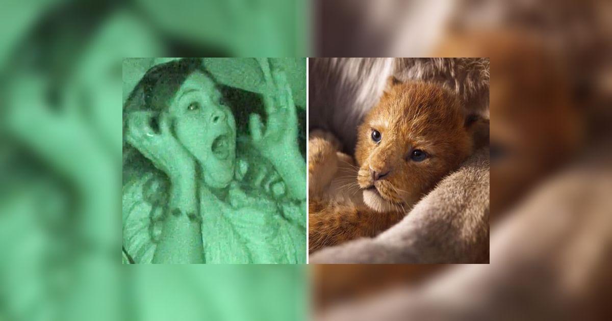 El Rey León: Animalista pensaba que personajes de la cinta eran ...