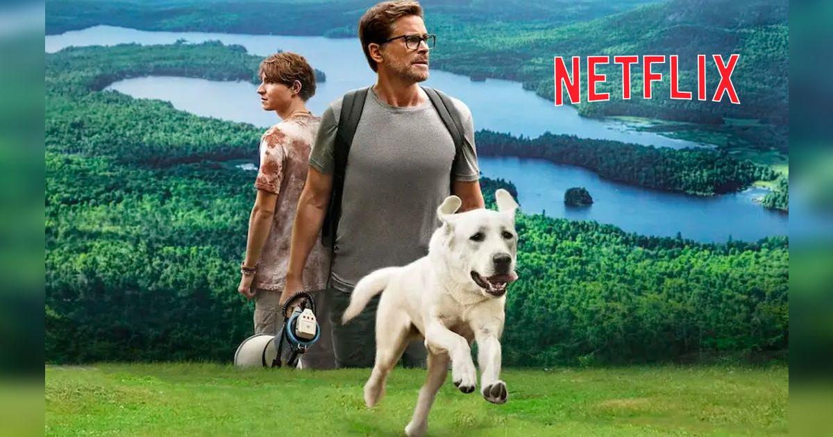 Perro perdido en Netflix: película, que hace llorar por su conmovedora ...