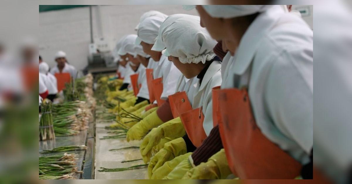 INEI: 16 regiones apalancaron el 85,2% de la producción nacional en el ...