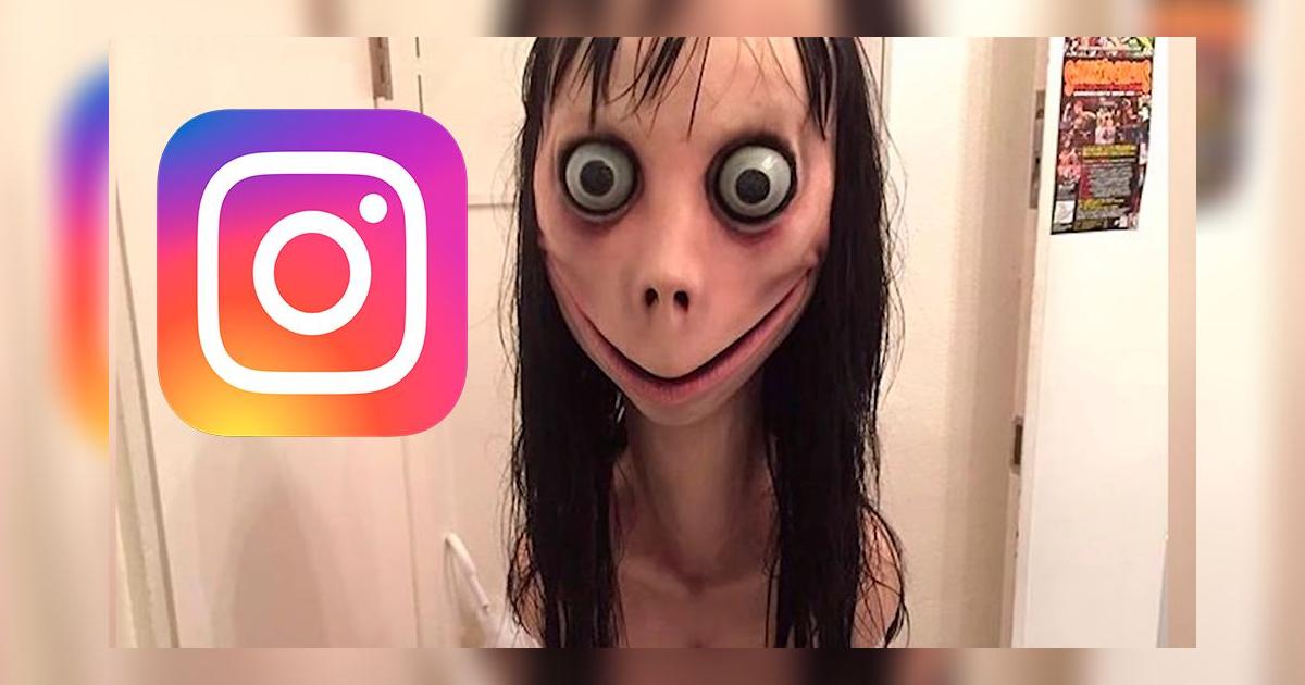 WhatsApp: Momo tiene cuenta de Instagram y estas son sus imágenes más ...