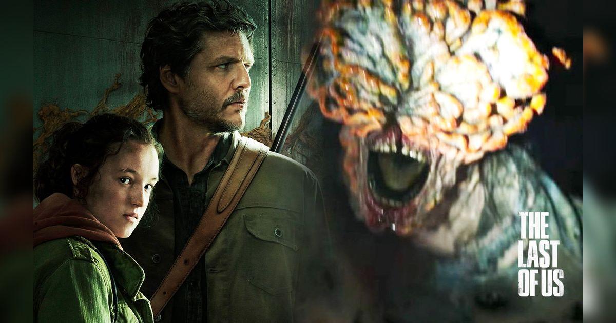 The last of us serie de HBO Max: el hongo que causa el virus es real ...