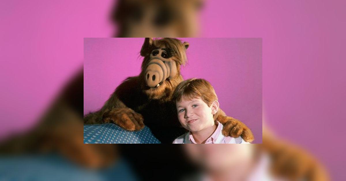 Mira cómo luce Brian Tanner de Alf tras 31 años de su aparición en la ...