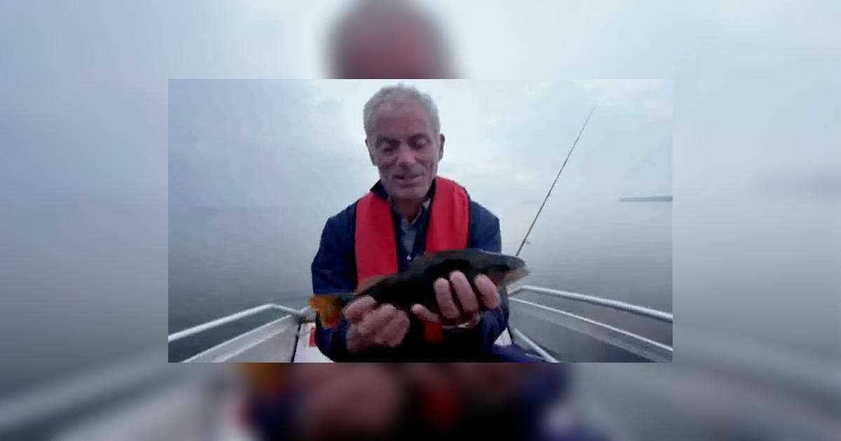 YouTube viral: misteriosa criatura sale de lago artificial de Chernobyl ...