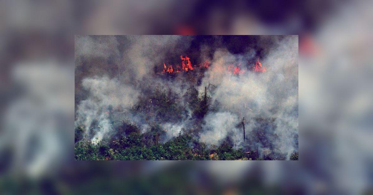 Incendio amazonas | incendio forestal | Evo Morales exigió reunión ...