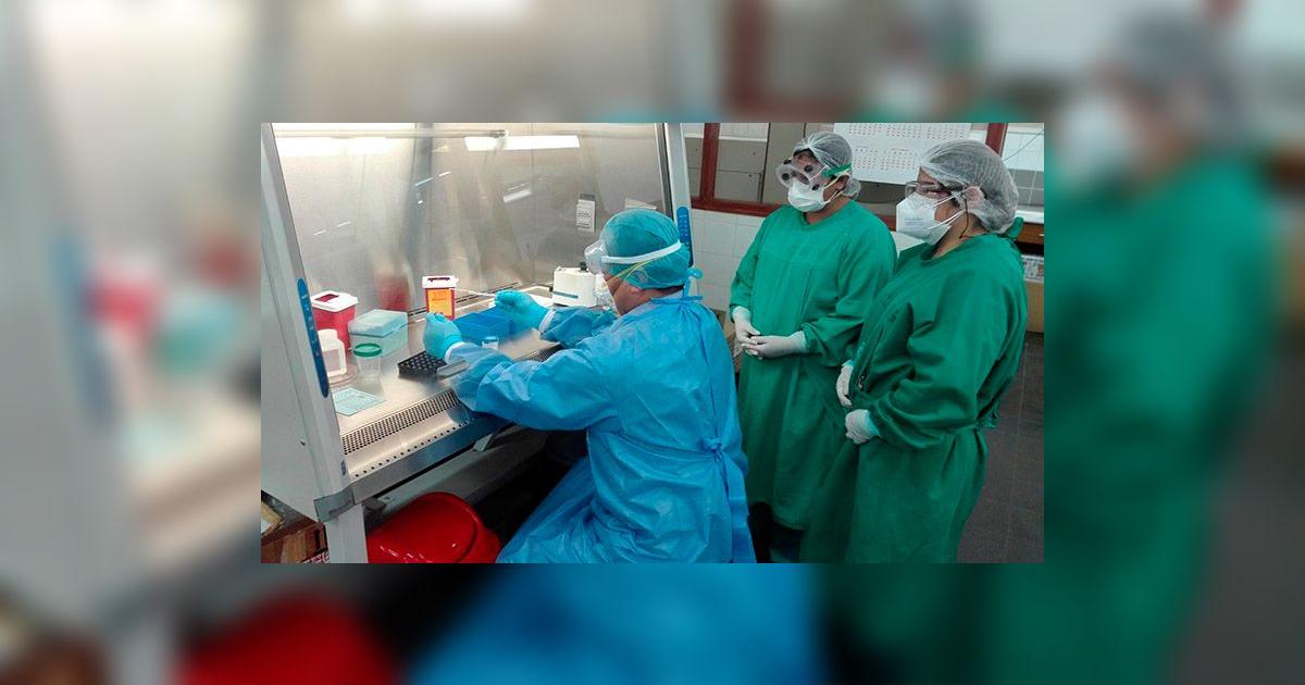Coronavirus: Solicitan que los laboratorios académicos se sumen a la ...