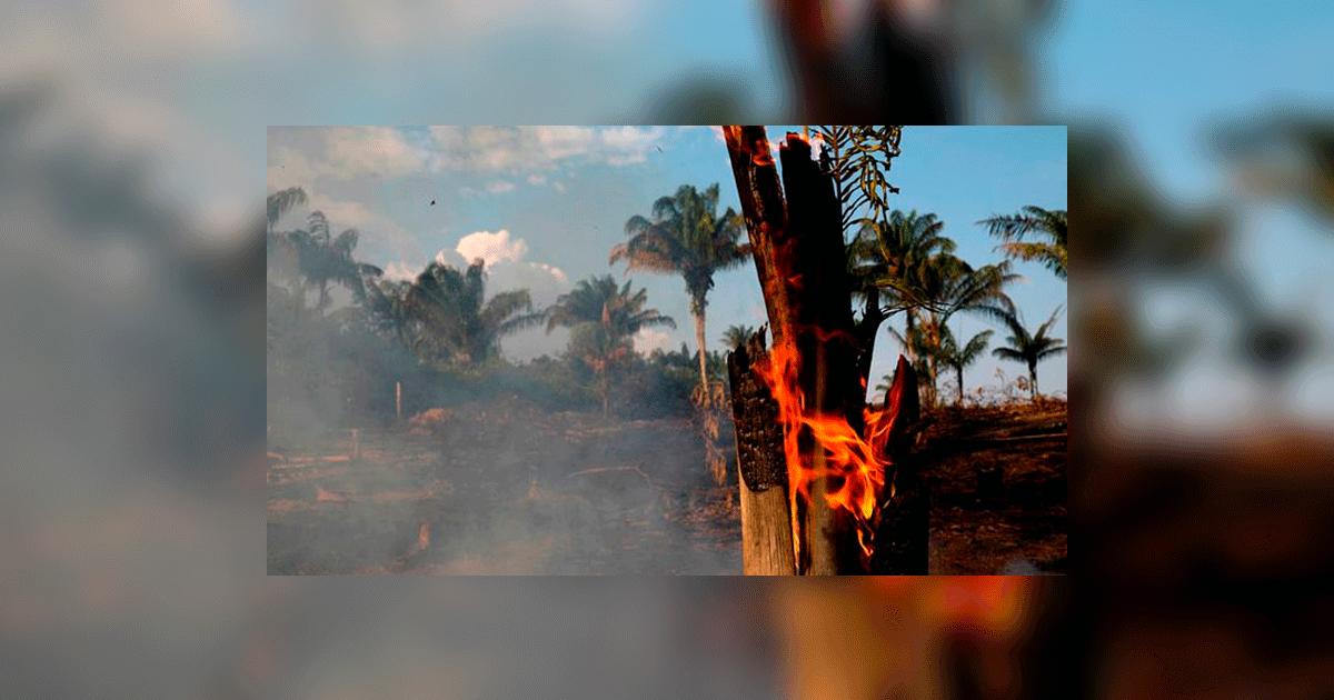 Causas del incendio en Amazonas: cómo inició, cómo se originó, qué ha ...