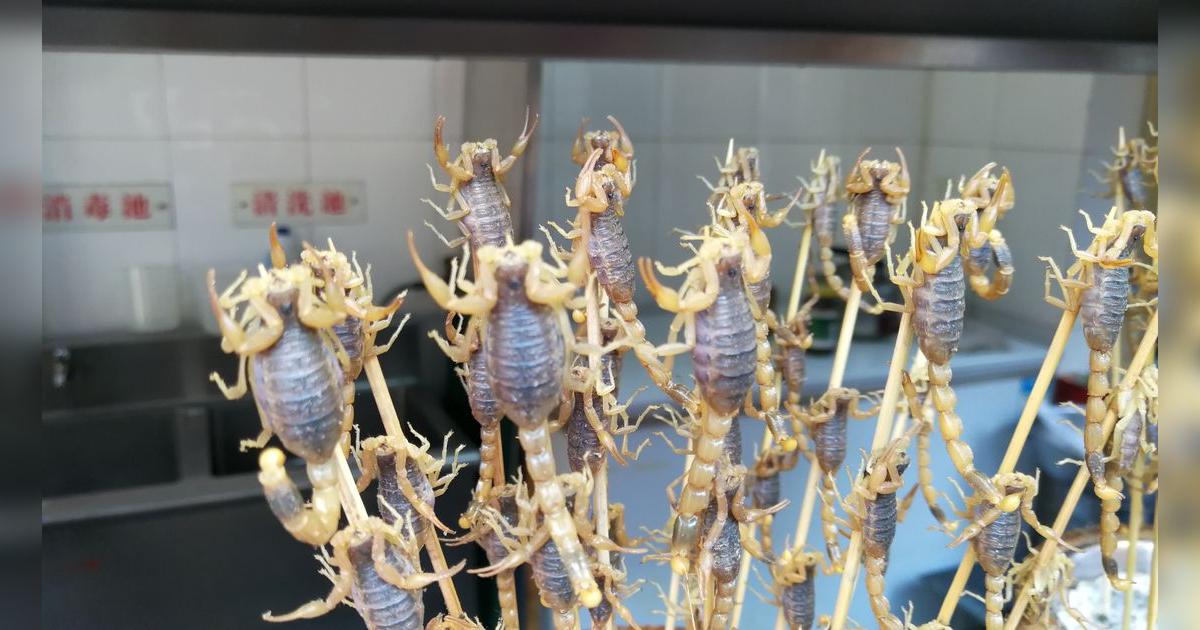 China te “encantalá”. Conoce la comida exótica de China | VÍDEO Y FOTOS ...