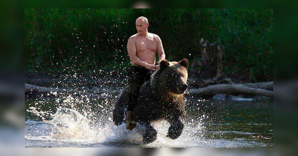 Facebook: Le preguntaron a Vladimir Putin por su meme montando un oso y ...