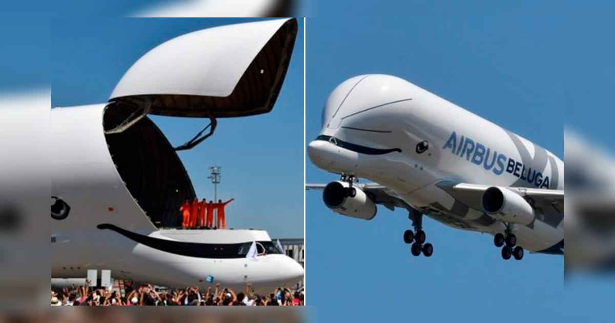 Youtube: gigantesco avión de Airbus con forma de ballena voló por ...