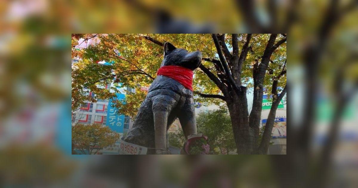 Japón: Estatua de Hachik es decorada en homenaje al Negro Matapacos ...