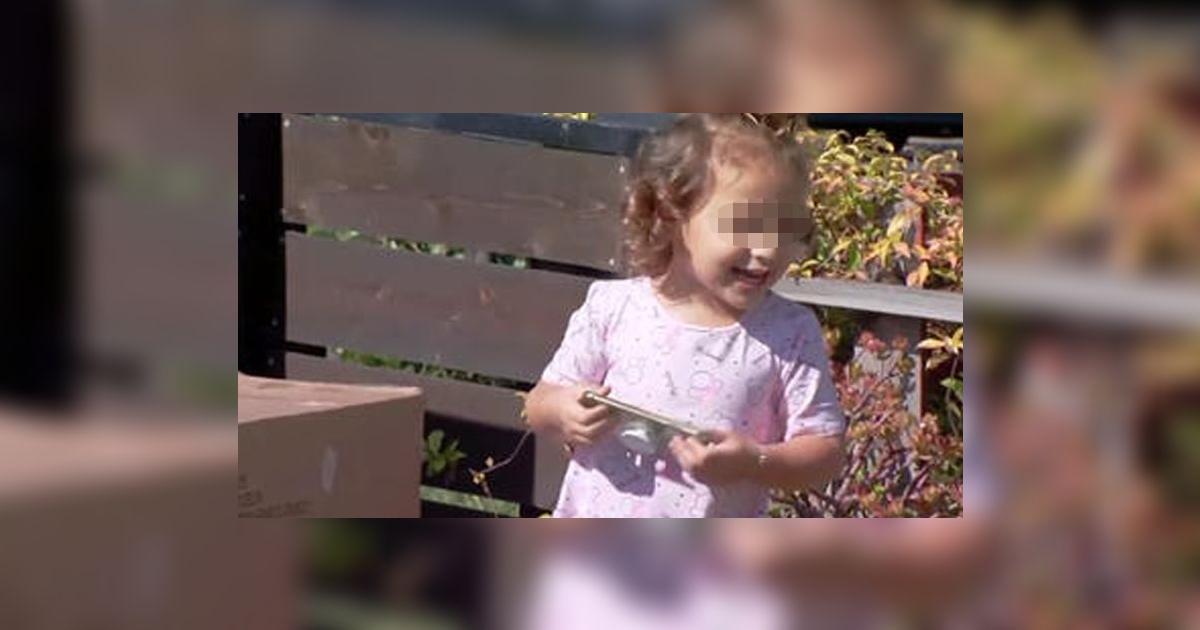 Facebook: Niña de dos años compra un sofá costoso en Amazon mientras ...