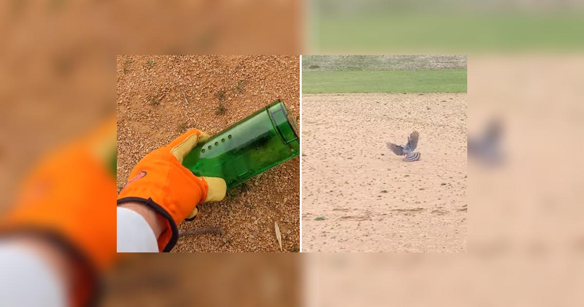 YouTube viral: Hombre atrapa a un ratón y decide liberarlo en la calle ...