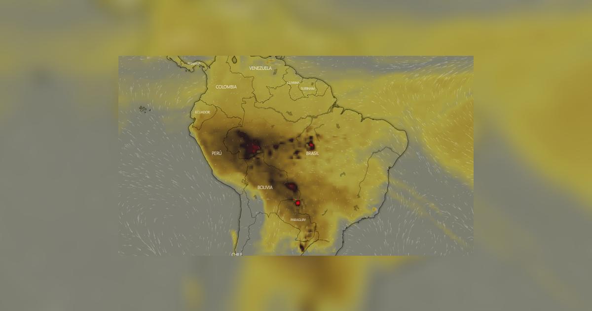 Incendio en Amazonas: cómo ver en vivo las zonas afectadas por el ...