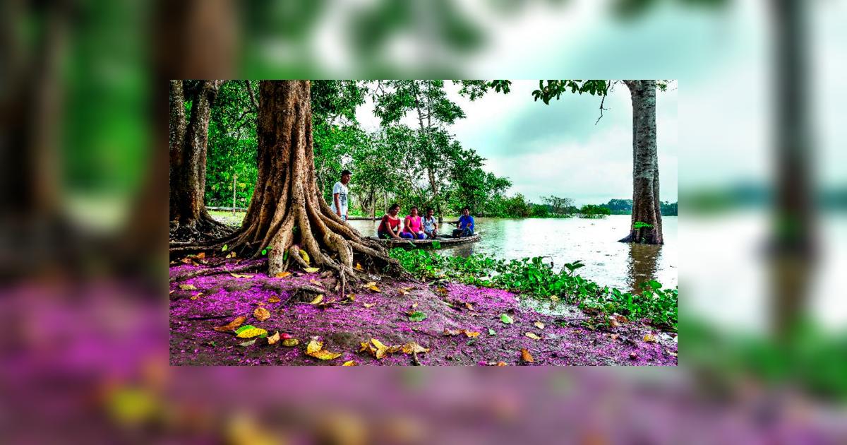 Lugares turísticos de la selva peruana que debes conocer | FOTOS | ATMP ...