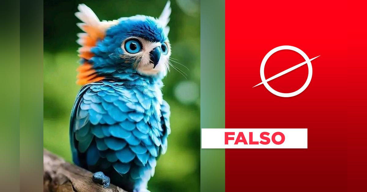 Ni esta foto es real ni existen los búhos azules