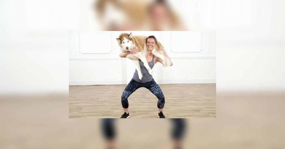 Instagram: Hacer pesas con el perro, el nuevo reto que se ha vuelto ...