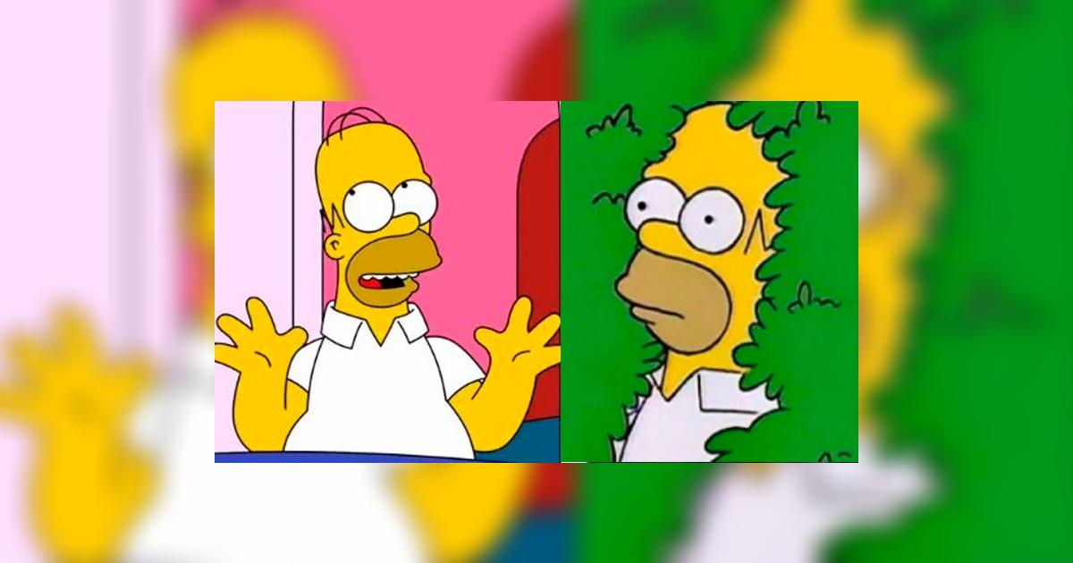Los Simpsons: Homero Simpson usó su famoso meme junto a Lisa en ...