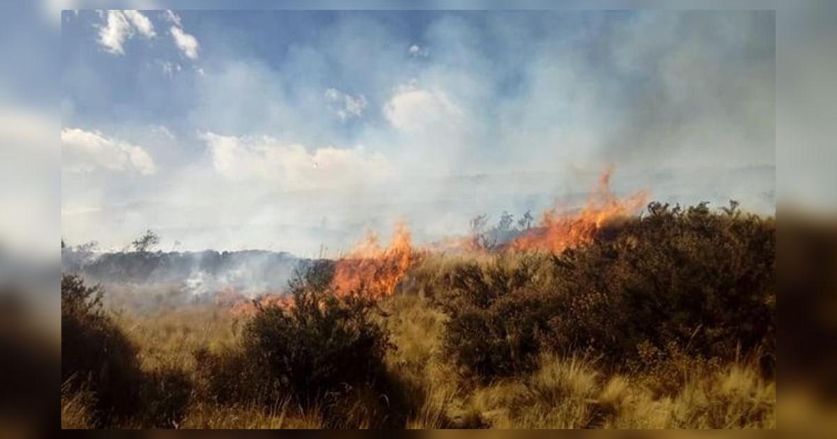 Incendios Forestales | Perú registró 127 incendios en el último mes ...